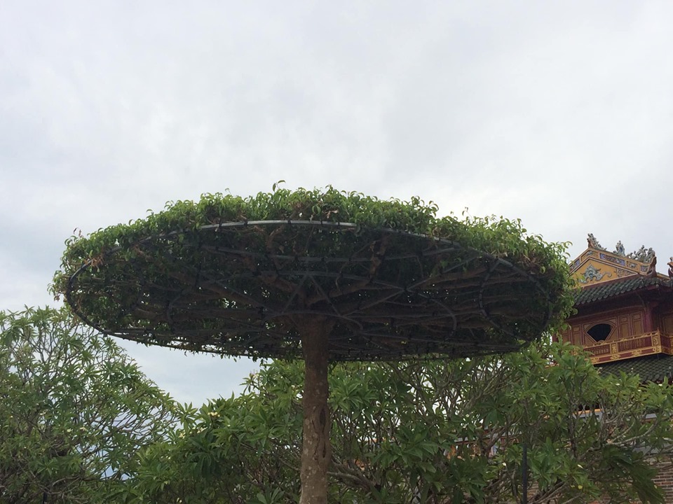 Day 129 - Vietnam: Hue | Julie Harber