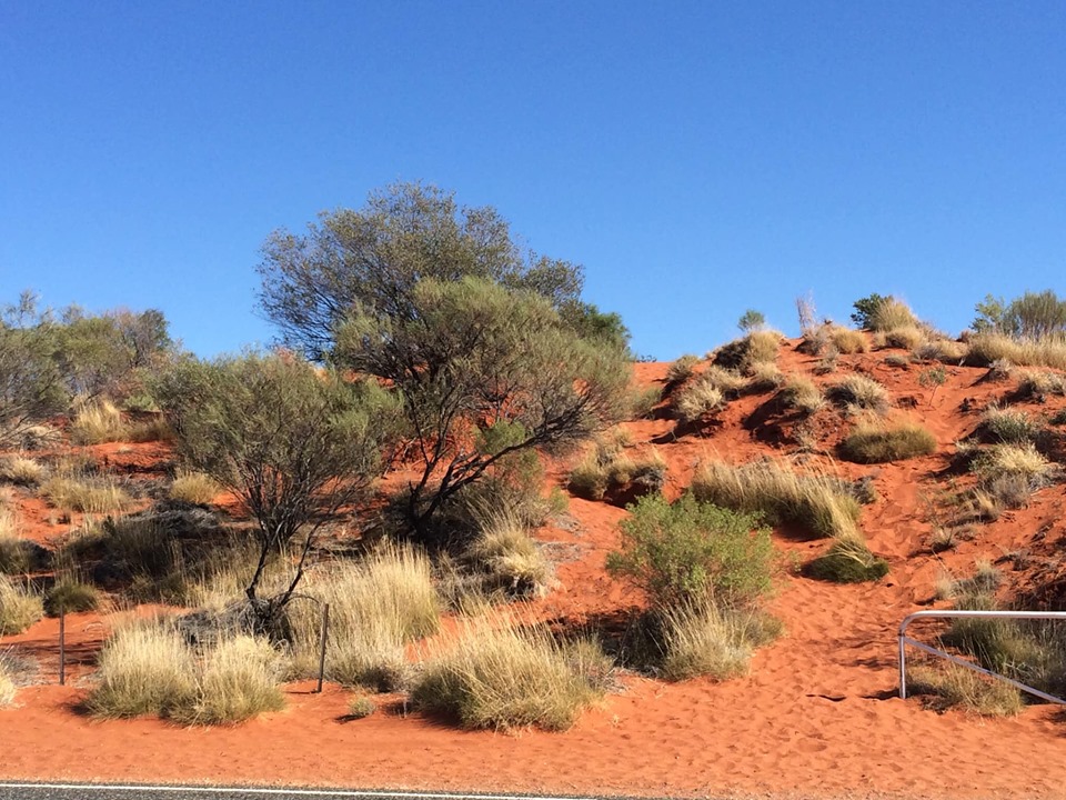 Day 178 - Australia: Uluru, Kata Tjuta and Cobber Pedy | Julie Harber